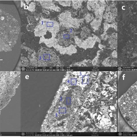 Sem Eds Analysis Of The Beads A C Surface And Tested Areas Of Sample