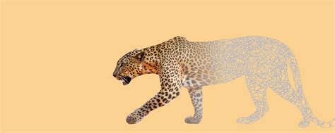 Software De Diseño Gráfico Con Coreldraw Graphics Suite