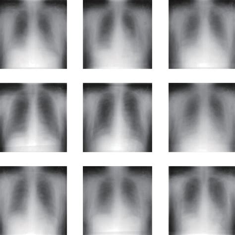 Visualization Of Samples With Ground Truth Bounding Boxes Across Sample