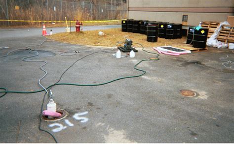 File Crimi Fig Png Enviro Wiki File Crimi Fig Png Enviro Wiki