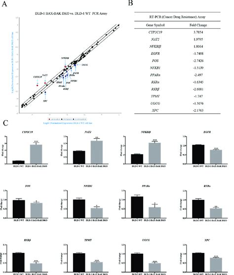 Rt² Profiler™ Pcr Array Analysis For Gene Expression Of Dld 1 Bax Bak