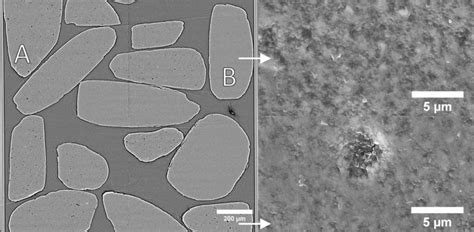 Left Cross Section Through The High Resolution Tomogram Of The Mixed