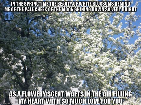 Springtime Memes And S Imgflip