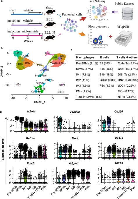 Single Cell Transcriptomic Profiling Of Peritoneal Immune Cells A