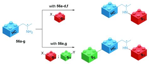Applicability Of Potential Drug Scaffold Chiral Amines S Or