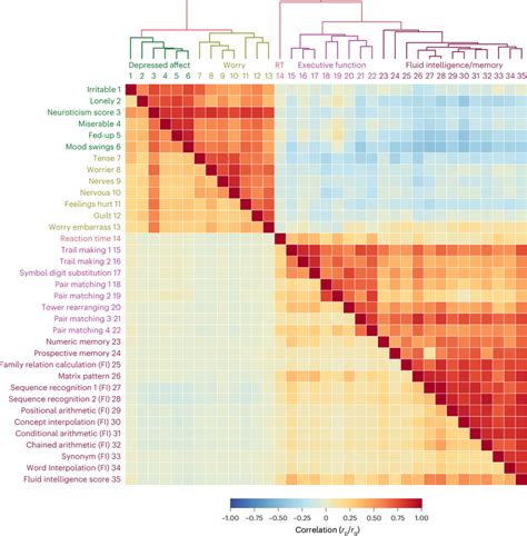 Heatmap Of Genetic And Phenotypic Correlations Across Mental
