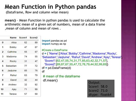 Presentation On Pandas In Detail Pptx