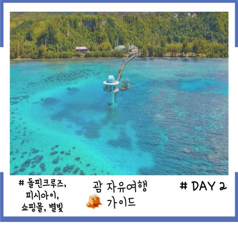 괌 자유여행 가이드 Day 2액티비티 추천 돌핀 크루즈 피시아이 쇼핑몰 구경 밤 하늘 별 구경 네이버 블로그