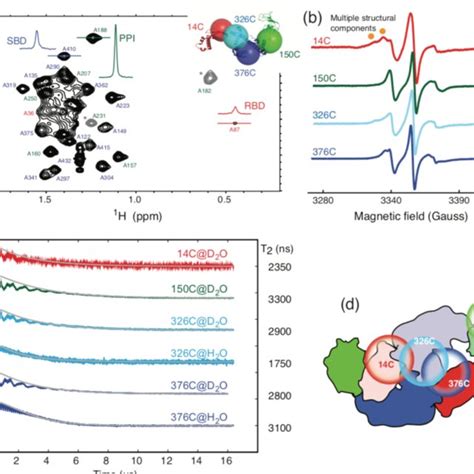 Paramagnetic Relaxation Enhancement Pre Analysis Of Substrate