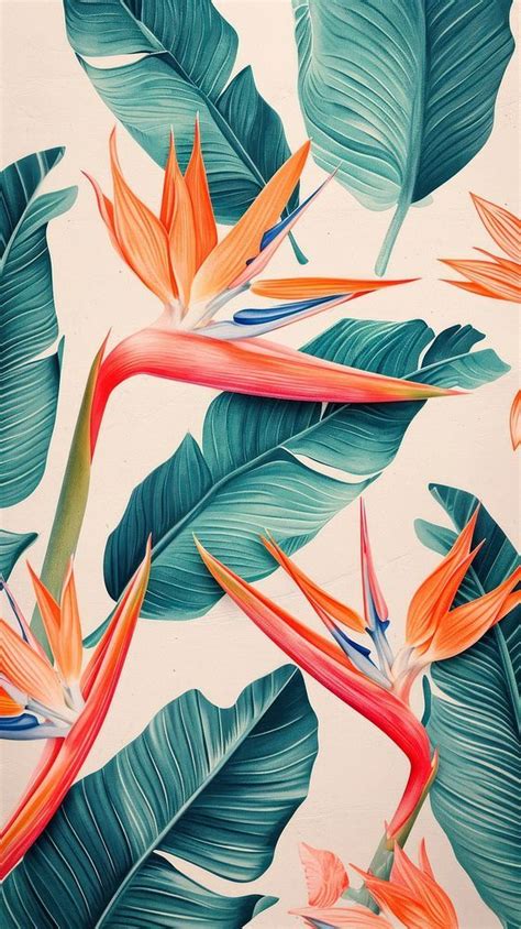 Tropical Bird Of Paradise Wallpaper