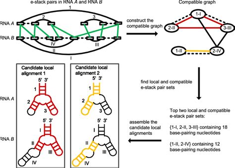 Three Cases Of Adjacent E Stack Pairs For Each Case The First Row