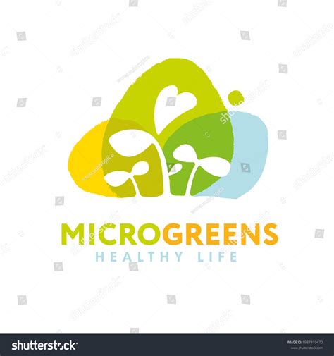 Microgreens Background Over 1779 Royalty Free Licensable Stock