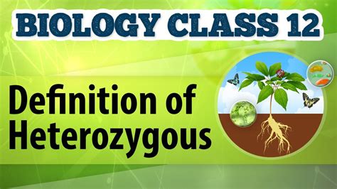 Definition Of Heterozygous Genetic Basis Of Inheritance Biology
