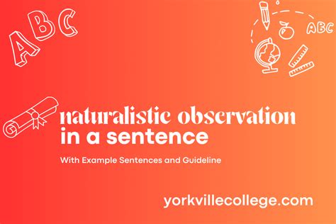 How To Use Naturalistic Observation In A Sentence Easy Examples