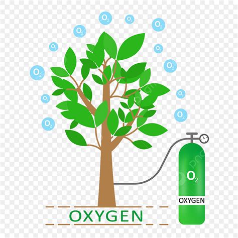 Capture Vector PNG Images Capture Oxygen From Tree Oxygen Medical O PNG Image For Free Download