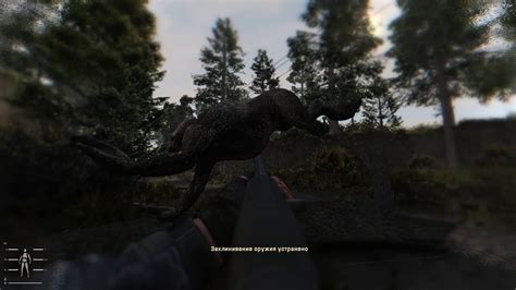 Истребитель тварей S T A L K E R Gamma Youtube