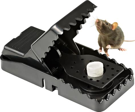 Amazon.com : Mouse Traps Indoor for Home | Snap Traps for Mice | Easy to Set Mouse Traps ...