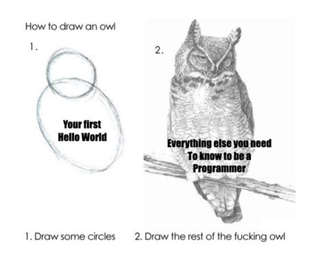 First Hello World Rprogrammerhumor