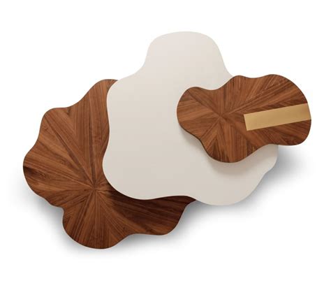 Nenuphar Coffee Table Architonic Coffee Table Top View Living