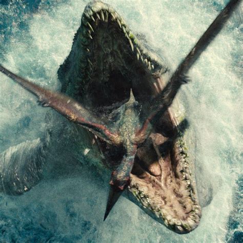 Mosasaurus