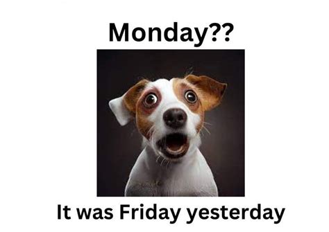 Manas Srivastava Mani Posted On Linkedin