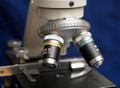 Difference Between Light Microscope And Electron Microscope With Advantages Disadvantages
