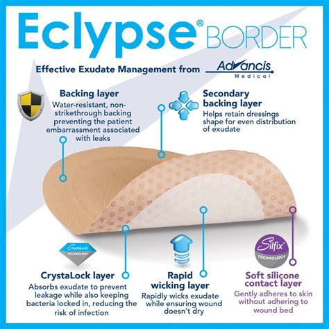 Buy Eclypse Border Oval Super Absorbent Dressing With Soft Silicone