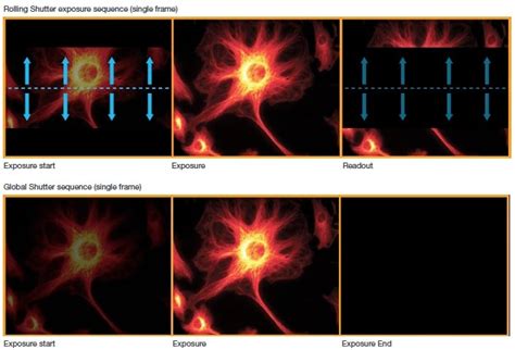 Omnivision Tacks On Two Global Shutter Sensors To Near Infrared Family News