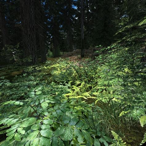Community Shader Grass Lighting Showcase Rskyrimvr