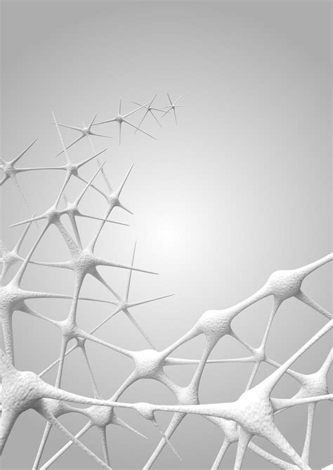 3d Neural Network Behance