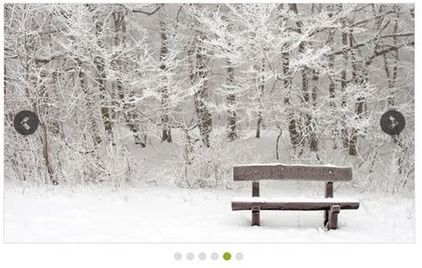 Image With Contents Rotator ASP NET Webforms Syncfusion