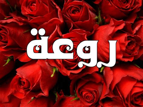 صور مكتوب عليها روعة اول مرة اشوف اسم روعه جميل كدة صور حب