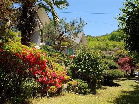 집판다 전남 순천 승주읍 예쁜 정원 시골집 전원주택 매매