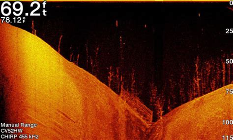 Garmin Echomap Plus 65cv Chartplotter No Transducer Bluechart G2 UK 010 01891 10 Hudson