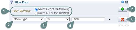 Filter Using The Dialog Box