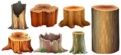Different Type Of Tree Stump Vector Art At Vecteezy