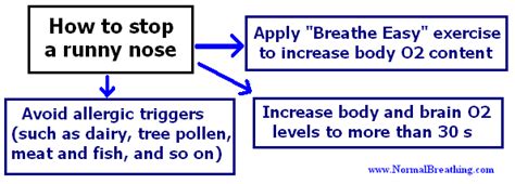 How To Get Rid Of A Runny Nose Prevent It Fast