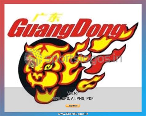 Chinese Basketball Association Archives • Sports Logos Embroidery