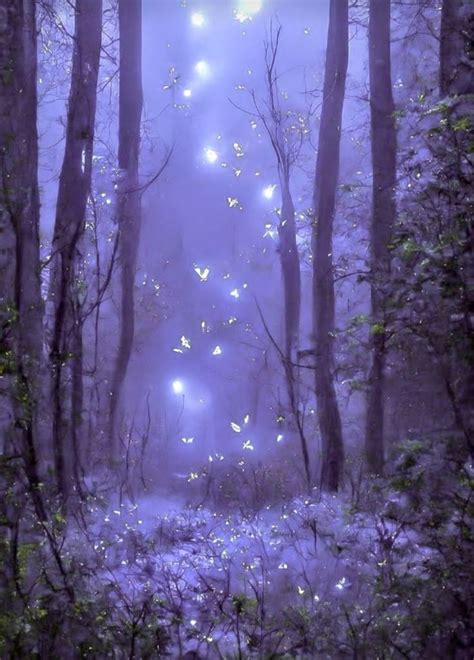 260 Purple Theme Ideas In 2025 Purple Themes Purple Color Schemes