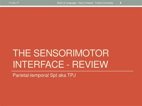 The Sensorimotor Interface 2 Oct 11 2017 Day Ppt Download