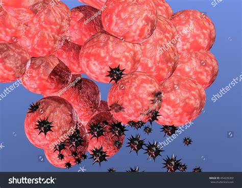 Ingress Particulate Matter Into Lungs 3d Stock Illustration 454226302 Shutterstock