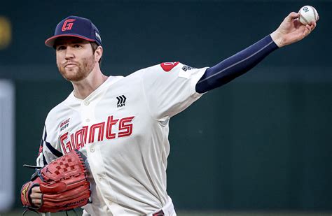 이제 추락은 없다독수리vs갈매기 누가 더 높이 날까