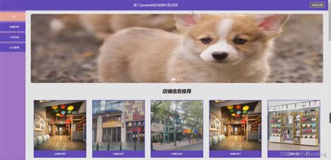 基于springboot vue的宠物托管系统的详细设计和实现 源码 lw 部署文档 讲解等 阿里云开发者社区