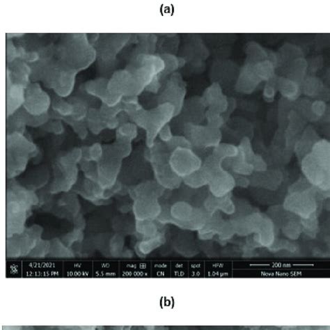 Sem Images Representing Size And Morphology Of Se Nanoparticles A