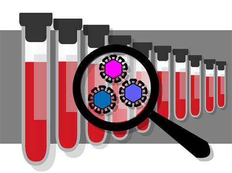 Crispr Based Diagnostic Sherlock Optimized For Rapid Use During Viral