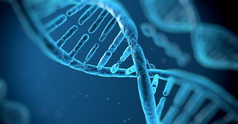 Trans People May Have Rare Gene Variants Related To Brain Sex