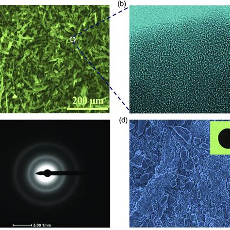 Surface Morphology Of The ACF A FESEM B HRTEM C SAED Pattern Download Scientific