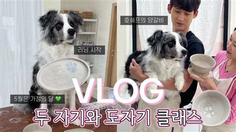 Vlog 직장인 브이로그ㅣ5월은 가정의 달 💚ㅣ퇴근 후 러닝ㅣ호쉐프의 양갈비ㅣ애견 동반 도자기 클래스 Youtube