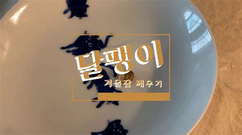 겨울잠을 자는 달팽이를 깨워보았습니다 달팽이키우기 Youtube