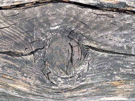 Assorted Backgrounds Free Download Borrow And Streaming Internet